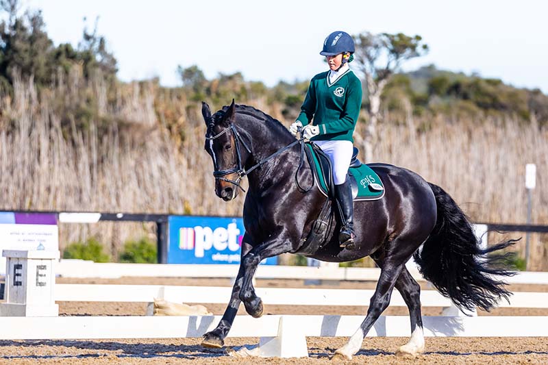 Meet Caitlin Griffiths | Equestrian Victoria