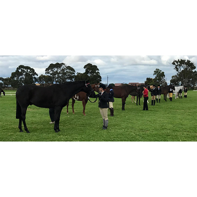 | Equestrian Victoria